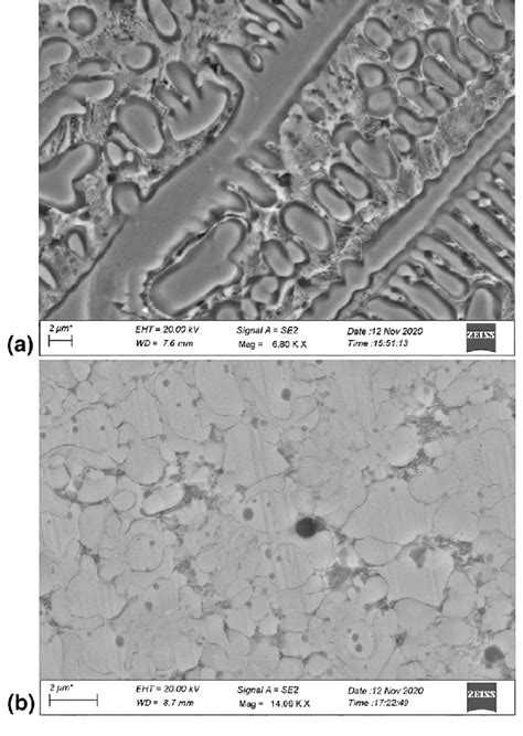 Sem Images Showing Dendritic Microstructure In Ni Based Superalloy Side