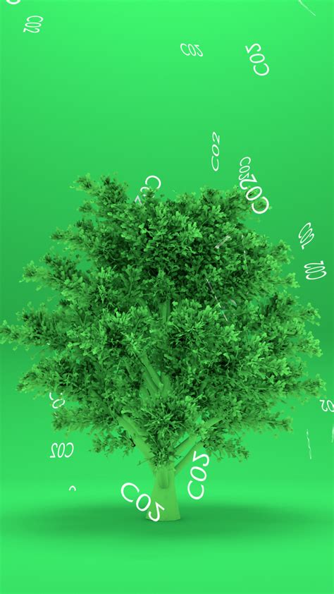 The Impact Of Planting Trees On Air Quality Glover Nursery