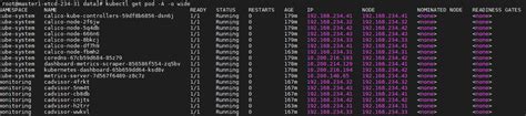 prometheus kubernetes部署cadvisor容器监控 OrochW s Blog