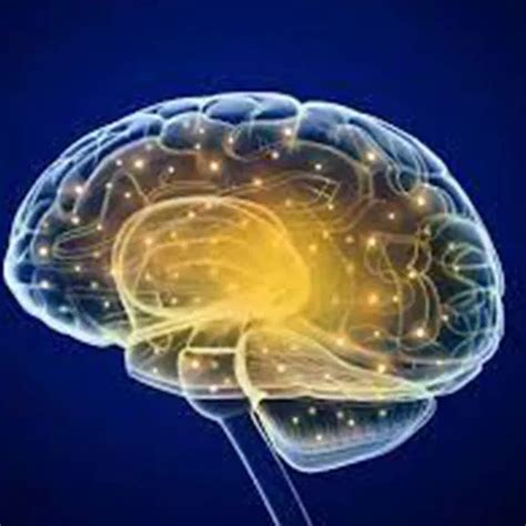 S Dilantin Level Test Near You In Delhi Book Test At Low Price