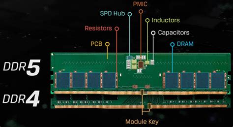 Best Ddr5 Ram For Gaming Pc And Enthusiasts Rgb Low Profile Budget