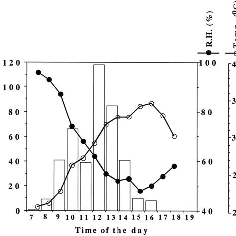 Catches Of Male B Pomorum In Traps Baited With Parts Of The Female