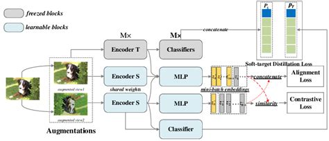 The Overflow Of Contrastive Knowledge Amalgamation Download Scientific Diagram