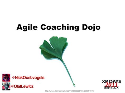 Agile Coaching Dojo Pdf