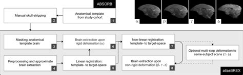 Workflow Of Atlasbrex For Semi Automated Brain Extraction In A