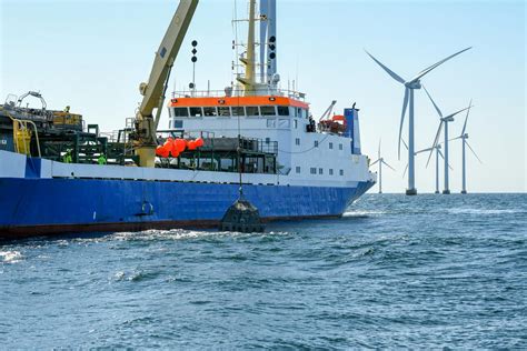 International Day For Biological Diversity Rwe Tests Artificial Reefs At Offshore Wind Farm In