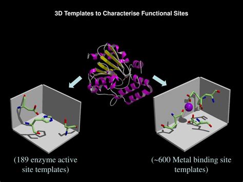 ppt extracting and exploiting structural patterns in proteins