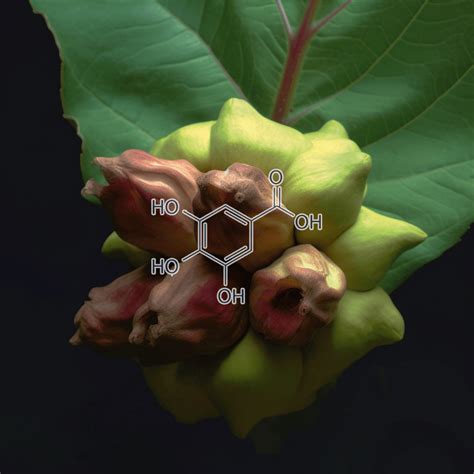 Gallic Acid Interstellar Blends