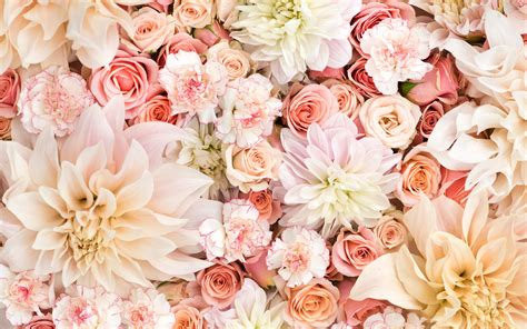 Florals Dyt 02 1856×1161 Pixels Flower Desktop Wallpaper