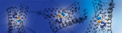 What To Submit—deadline January 15 2020