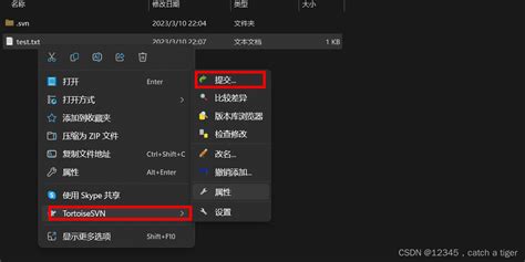 Svn服务器环境部署svn部署到服务器 Csdn博客