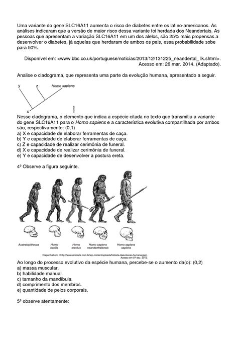 SOLUTION Teste De Biologia Evolu O Dos Homin Deos Studypool