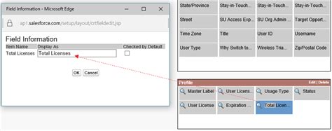 Salesforce User License Reporting