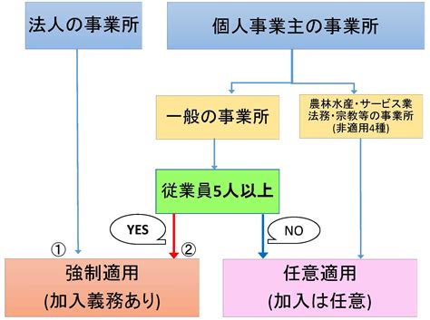 社会 保険 加入 義務 法人