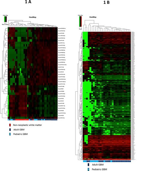 A Heatmap Of Unsupervised Hierarchical Clustering Analysis Showing All