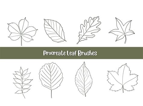 20 Beautiful Hand Drawn Procreate Leaf Brush Stamps Artsydee