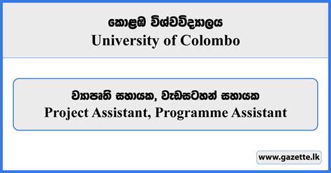 Project Assistant Programme Assistant University Of Colombo Vacancies 2024 Gazettelk