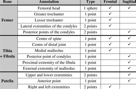 List Of Necessary Manual Annotations To Initialize The Reconstruction Download Scientific