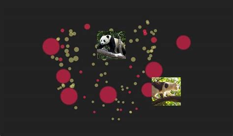 population analysis with applied explainability tensorleap