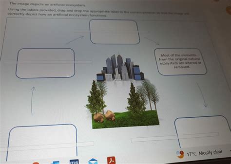 Solved The Image Depicts An Artificial Ecosystem Correctly