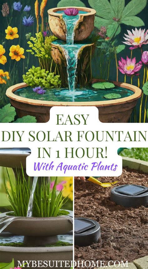 Eco Friendly Fun Create A Solar Fountain In 1 Hour With Aquatic Plants