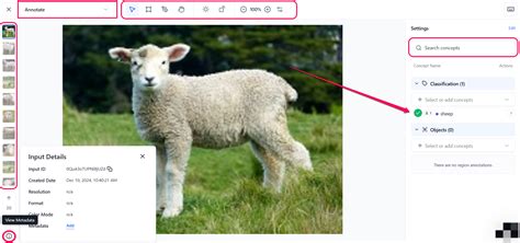 labeling via the ui clarifai docs