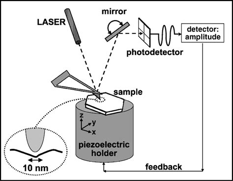 Schematic Diagram Of The Setup Of An Atomic Force Microscope Operating Download Scientific