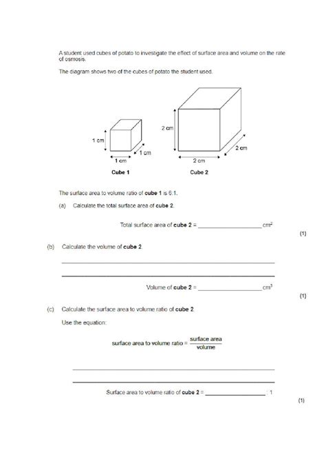 Surface Area To Volume Ratio Practice Doc Activity Surface Worksheets Library