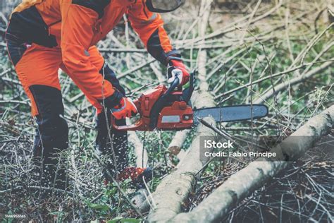 전기톱을 들고 나무를 베는 사람 직장에서 목재 잭은 주황색 개인 보호 장비를 착용합니다 숲에서 야외에서 일하는 정원사 보안 전문성 직업 임업 노동자 개념 개인 장식품에 대한