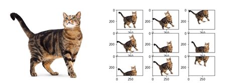 data augmentation techniques for enhanced machine learning
