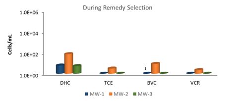 Dehalococcoides Testing And Analysis Microbial Insights