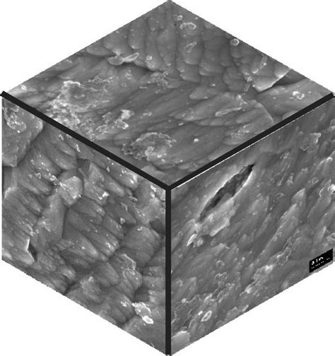 Microstructure Of Pure Copper After 11 Pressings Through The Die Via