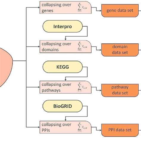 Data Fusion Framework Sequencing Data Are Collapsed To Calculate Their