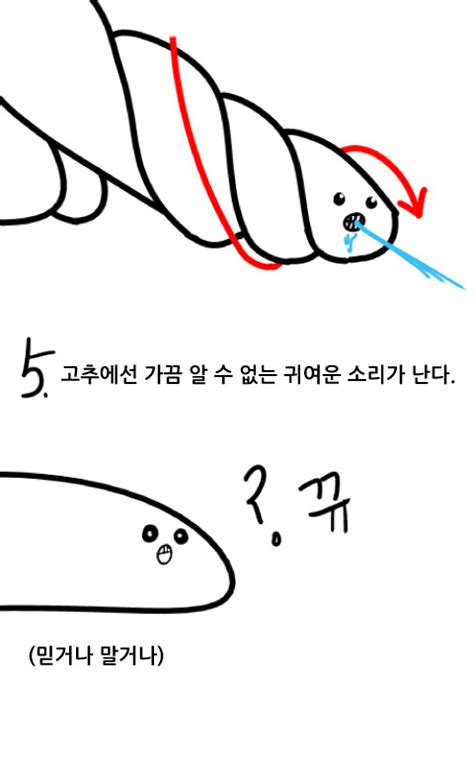 더쿠 여자들은 잘 모르는 남자 꼬추의 비밀