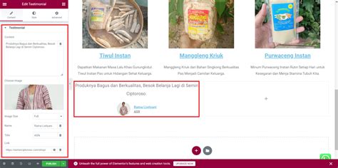 28 Cara Membuat Landingpage Dengan Elementor Konsultan Bisnis Satoeasa