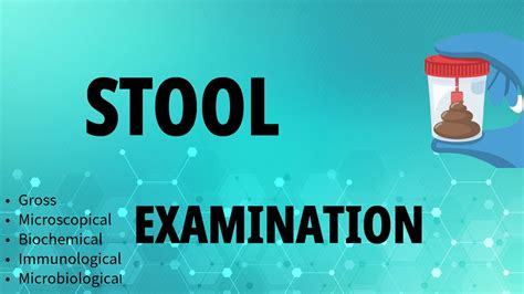 Stool Examination Gross Microscopic Pathology Pathologylab