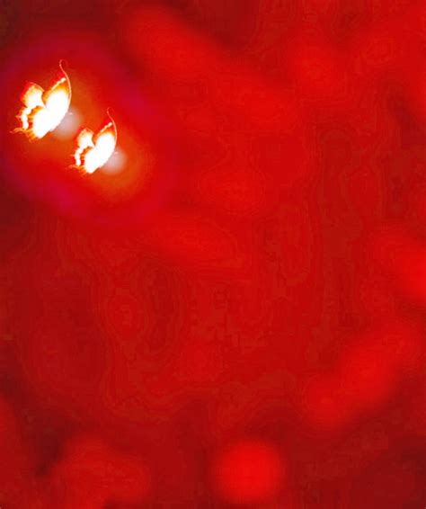 Butterfly Cb Background Hd