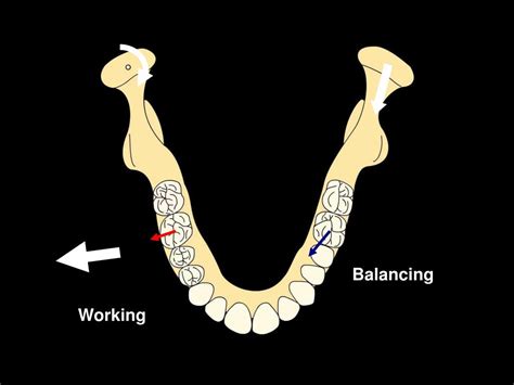 Ppt Introduction To Occlusion Powerpoint Presentation Free Download