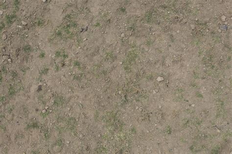 Dry Grass Texture Seamless