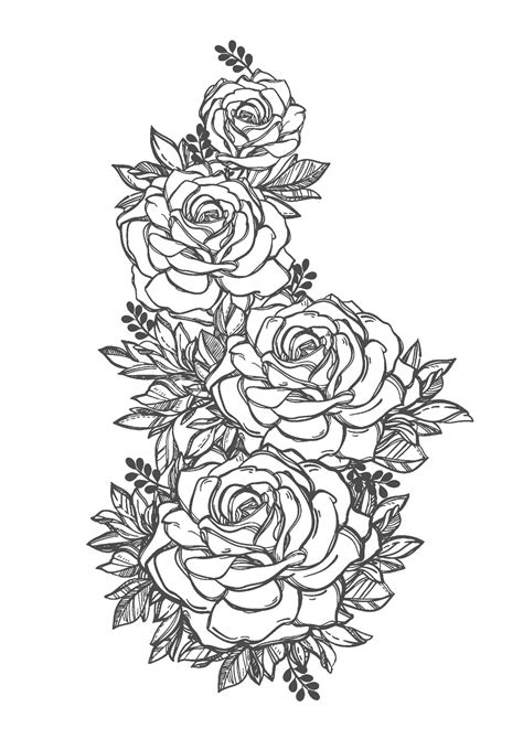 大人の花塗り絵｜薔薇バラ特集（無料コロリアージュ） もくもくん｜知育プリントキッズ