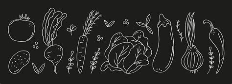 검은 배경에 토마토 감자 당근 가지 호박 양파 마늘을 포함한 신선하고 유기농 농장 야채의 낙서 세트 가지 채소에 대한 스톡 벡터