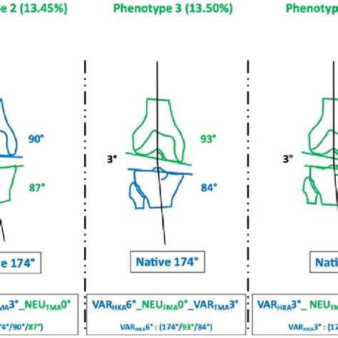 The Five Exemplary VAR Native Phenotypes Download Scientific Diagram