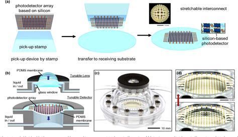 Figure 1 From Bio Inspired Visual Systems Based On Curved Image Sensors