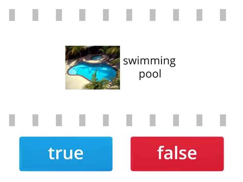 Grade 3 Module 8 Project 1 True Or False