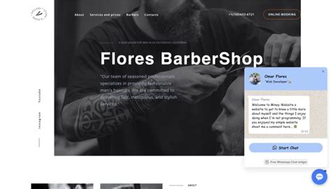 develop professional website using html css and javascript by
