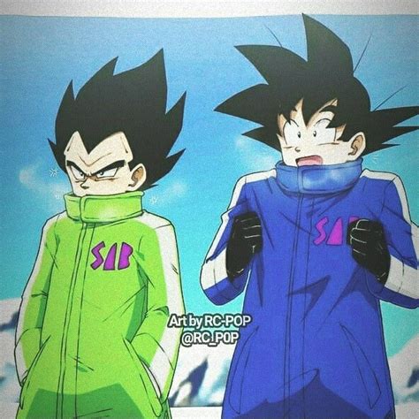 𝑮𝒐𝒌𝒖 𝒂𝒏𝒅 𝑽𝒆𝒈𝒆𝒕𝒂 Goku Winter Outfit Goku Snow Outfit Goku And Vegeta