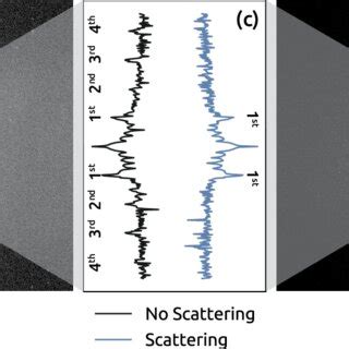 Fourier Transform Of The Images Shown In Fig 5 A Shows Data From Download Scientific