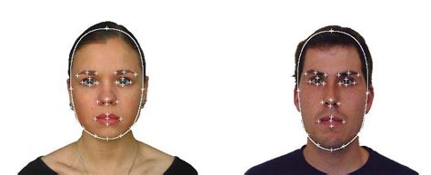 Bezier Curve Fitting Through Contour Points Download Scientific Diagram