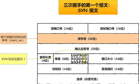 Tcp 开发知识wiki