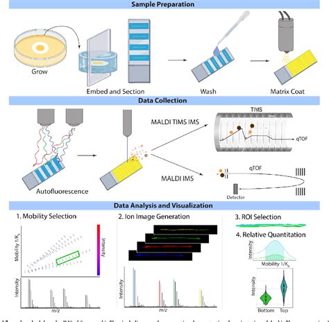 Figure 1 From Imaging Mass Spectrometry Reveals Complex Lipid Distributions Across